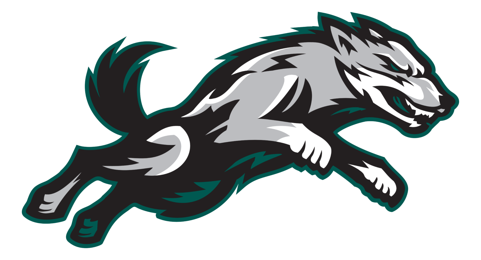 Everett Timberwolves - Everett Timberwolves